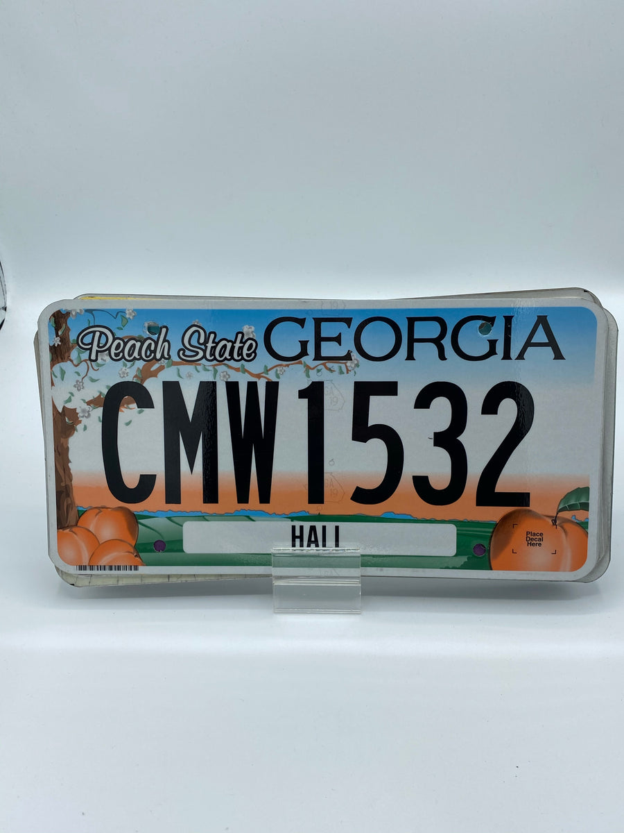 Georgia License Plate – Brooklyn Woke Vintage